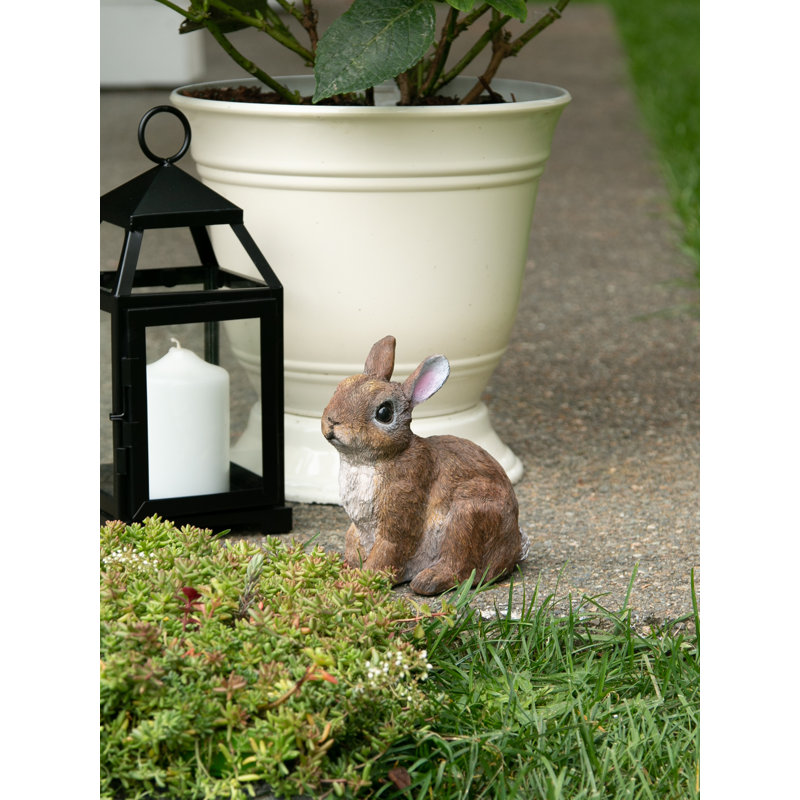 17 Stories Ashik Rabbit Animals Garden Statue | Wayfair